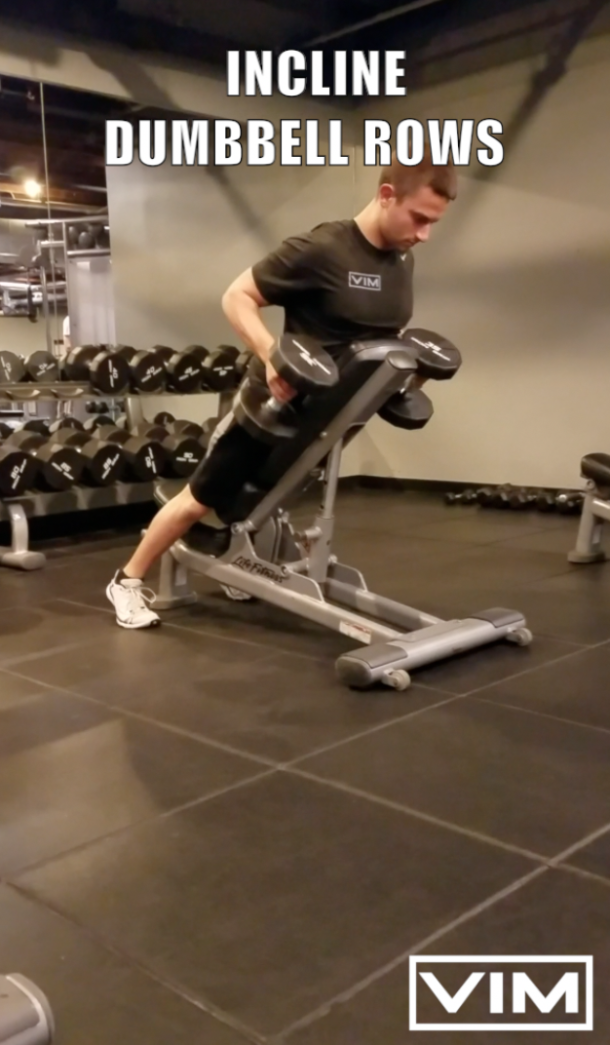 Free Weights Functional Movement Series: Incline Dumbbell Rows - VIM ...
