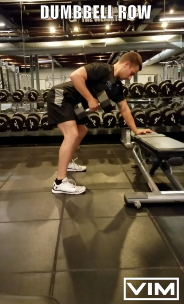 Free Weights Functional Movement Series: Dumbbell Rows - VIM | Fitness